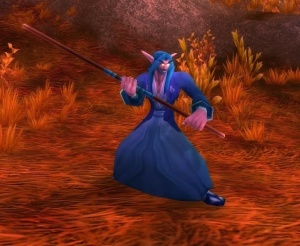 Darnassian Apprentice - NPC - World of Warcraft