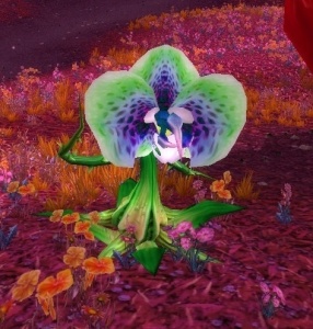 Thistle Lasher - NPC - Cataclysm Classic