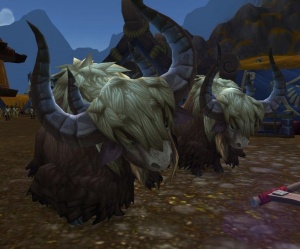 Alliance Yak - NPC - World of Warcraft