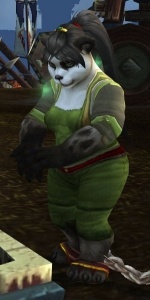 Pandaren Quotes Memory Toys World Of Warcraft Pandaren Action Figure