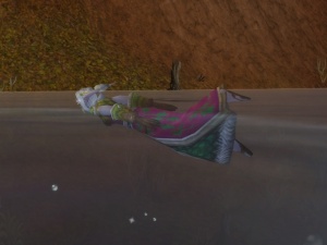 Highborne Citizen - NPC - Cataclysm Classic