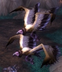 Carrion Vulture - NPC - World of Warcraft