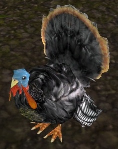 Tacchino Volante Png