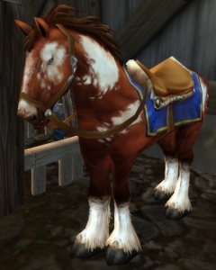 Pinto - NPC - World of Warcraft