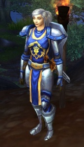 Stormshield Guard - NPC - World of Warcraft