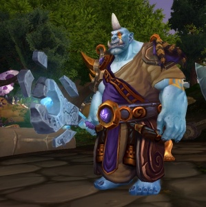 Highmaul Sorcerer - NPC - World of Warcraft