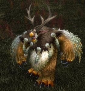 Young Moonkin - NPC - Classic World of Warcraft