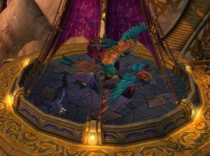 Arakkoa - NPC - World of Warcraft