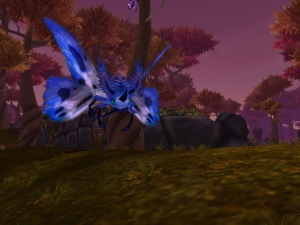 Elder Duskwing - NPC - World of Warcraft