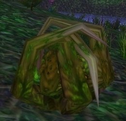 Timberling Sprout - Item - Classic World of Warcraft