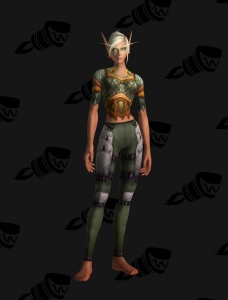 Basic - Outfit - TBC Classic