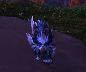 Feathermane Kitten - NPC - World of Warcraft