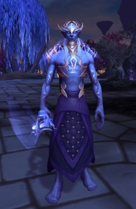 Potential of the Highborne Customisation for Night Elves in 9.0 : r/wow