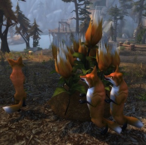 wow foxflower