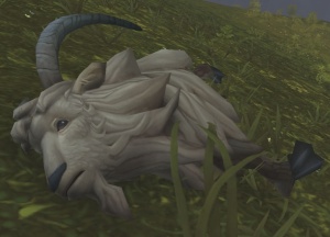 Domesticated Goat - NPC - World of Warcraft