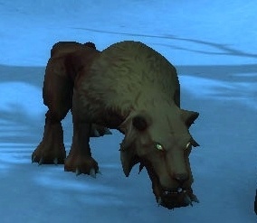 Cora - NPC - World of Warcraft