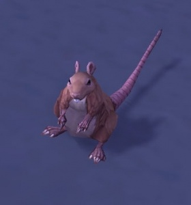Rat - NPC - World of Warcraft