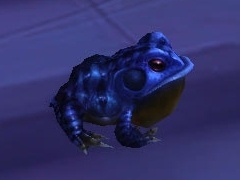 Glitterpool Frog - NPC - World of Warcraft
