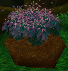 Dreamleaf Cluster - NPC - World of Warcraft