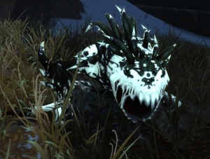 Manifestation of Anger - NPC - World of Warcraft