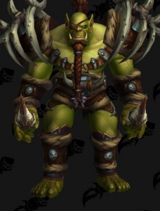 Gronnstalker Rokash - Outfit - World of Warcraft