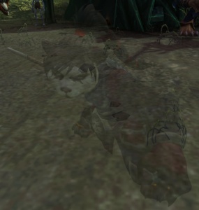 Taoshi - NPC - World of Warcraft