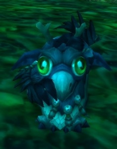 Moonkin Hatchling - NPC - World of Warcraft