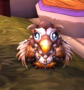 Moonkin Hatchling - NPC - World of Warcraft
