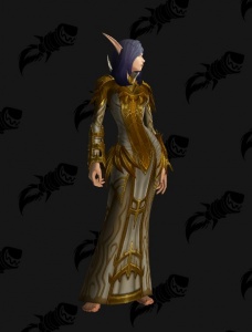 Vestaments of Enflamed Blight - Outfit - World of Warcraft