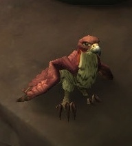 Vale Falcon - NPC - World of Warcraft