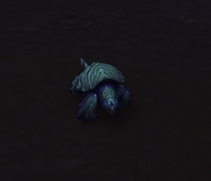 Wetshell Turtle - NPC - World of Warcraft