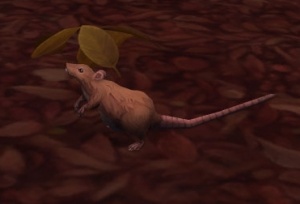 Rat - NPC - World of Warcraft