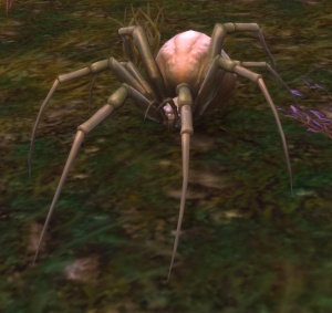 Young Night Web Spider - NPC - World of Warcraft