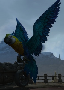 Parrot-in-Training - NPC - World of Warcraft