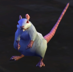 Rat - NPC - World of Warcraft