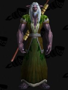 Starting Night Elf Druid - Outfit - Classic World of Warcraft