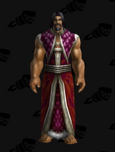 WILZ - Outfit - Classic World of Warcraft