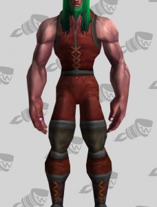 nelf warrior vanilla - Outfit - Classic World of Warcraft