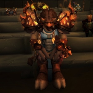 Sunwalker Dawnchaser - NPC - World of Warcraft