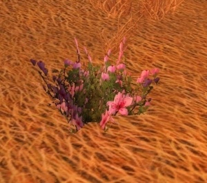 Mageroyal - Object - Classic World of Warcraft