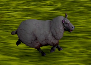 Black Sheep - NPC - World of Warcraft