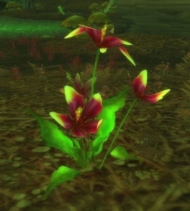 Cleansed Songflower - Object - Classic World of Warcraft