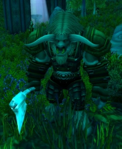 Moonglade Warden - NPC - World of Warcraft