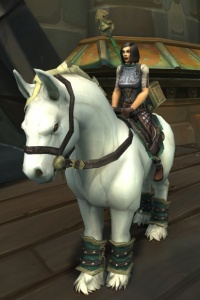 Kul Tiran Guard - NPC - World of Warcraft
