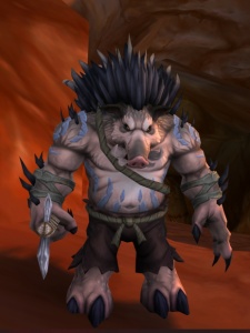 Razormane Defender - NPC - World of Warcraft