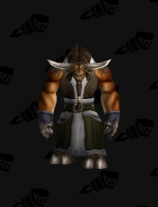 Mystic - Outfit - Classic World of Warcraft