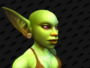 blood elf - Gallery - Diablo 4